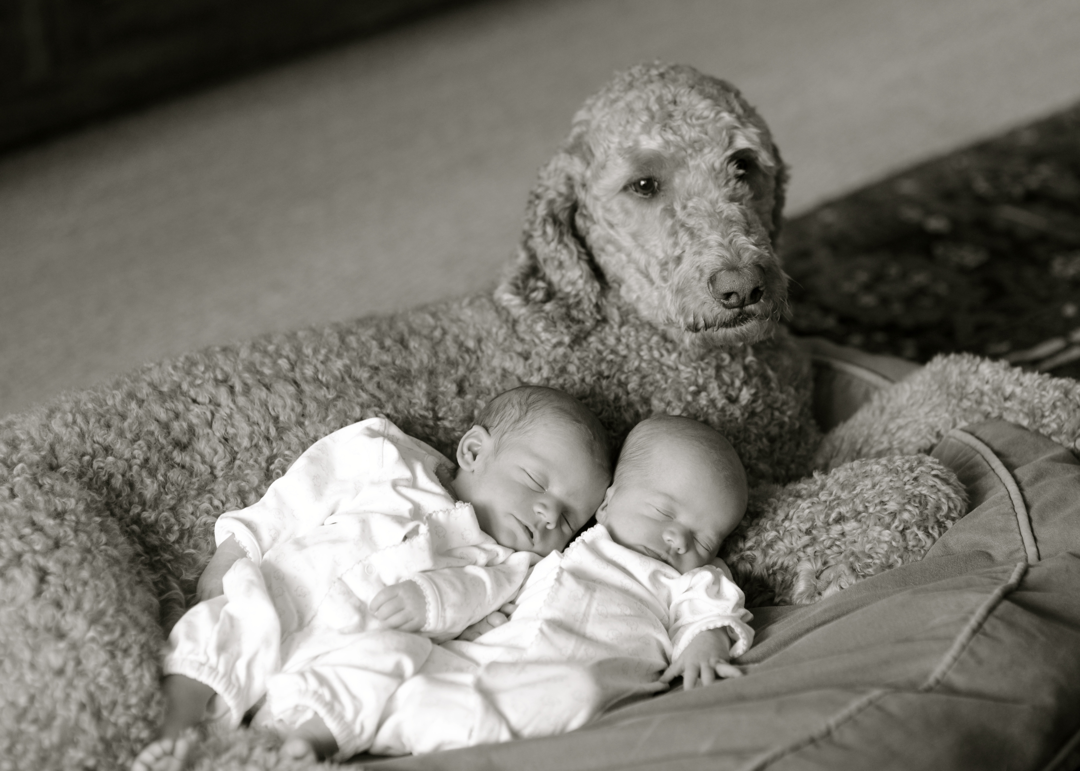 Really? Can’t take it… » Travis Dew Photography Really? Can’t take it… » Travis Dew Photography
